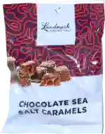 Landmark Confections Chocolate Sea Salt Caramels